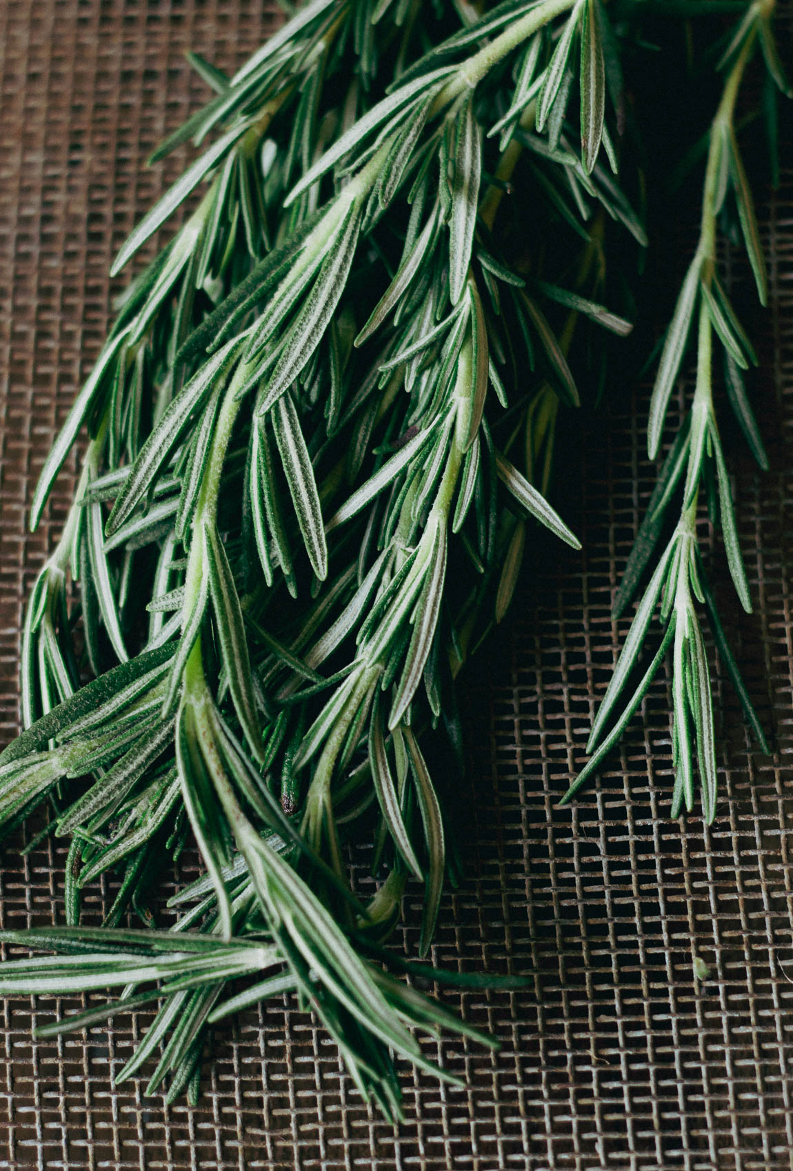 Rosemary: Benefits, Uses, and Growing Tips — Lemon in Ginger
