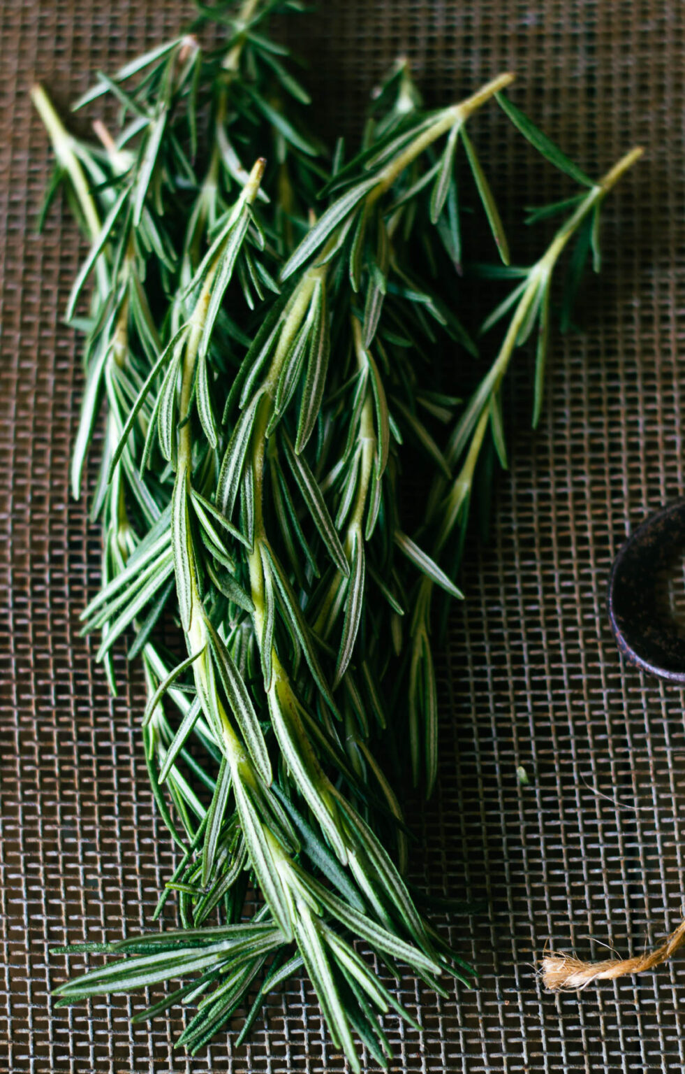 Rosemary: Health Benefits of Rosemary & Uses - Lemon in Ginger