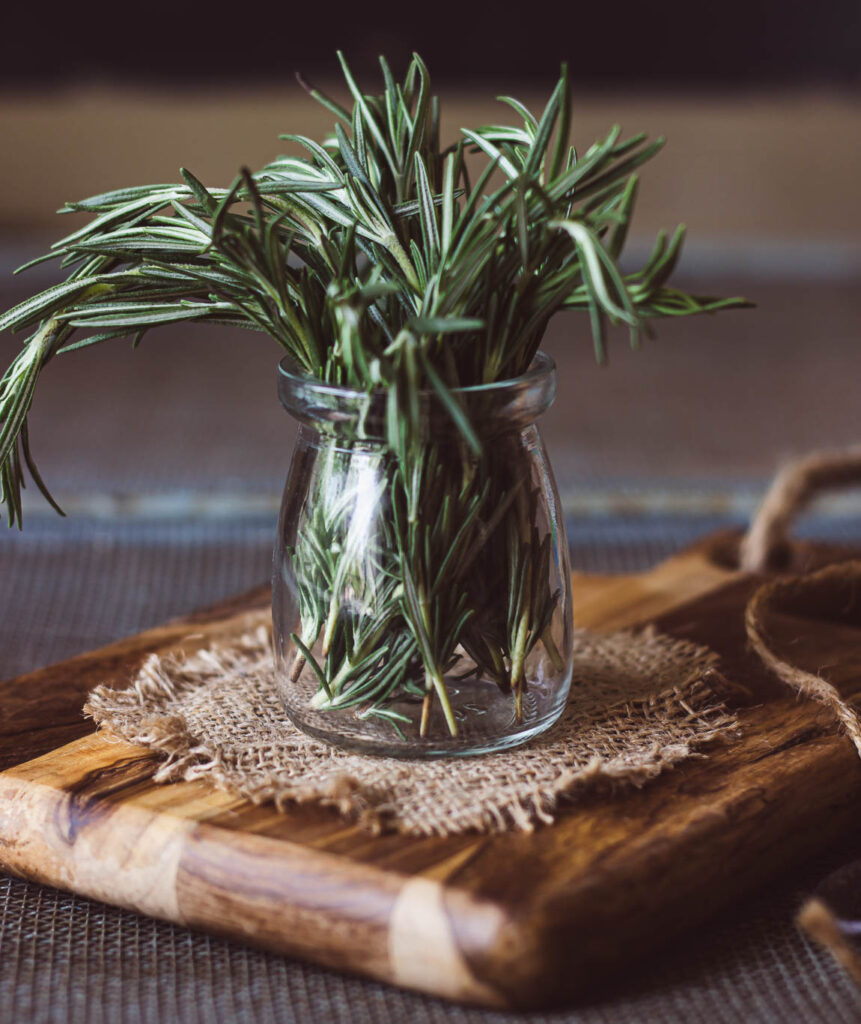 Rosemary: Benefits, Uses, and Growing Tips — Lemon in Ginger